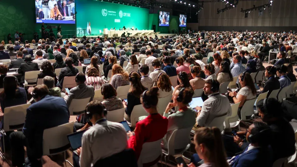 COP28 Recap - Key Takeaways for Singapore - UOB FinLab