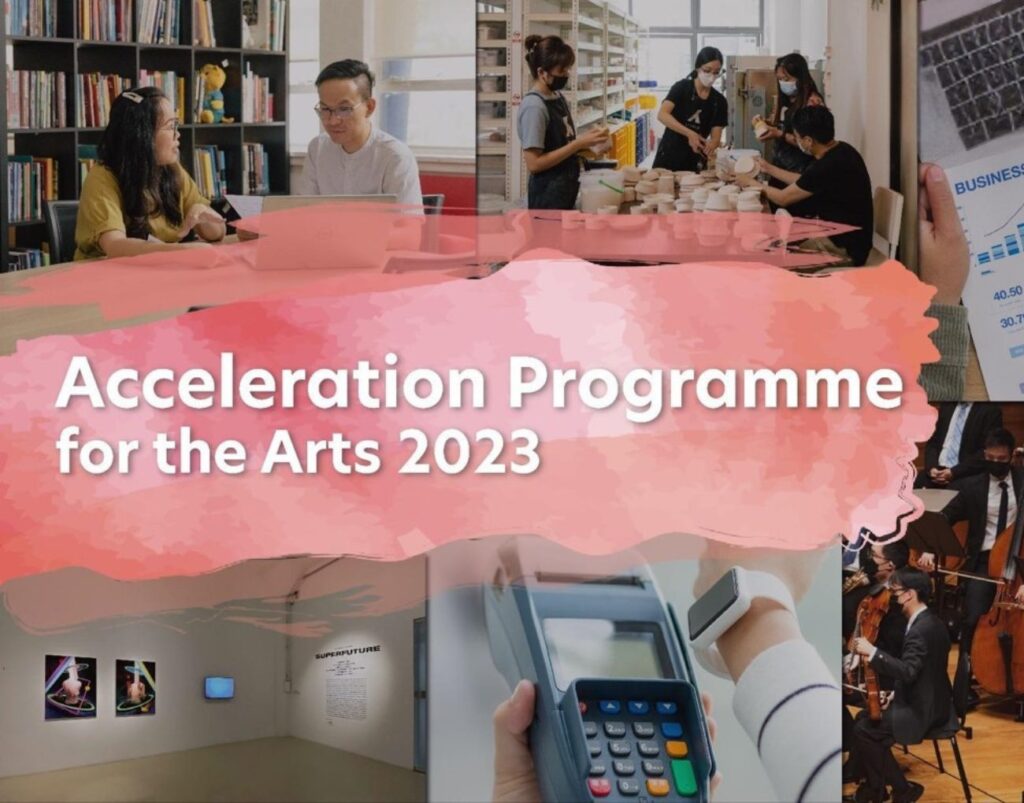 Arts Acceleration Programme